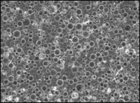 What is Syntactic Foam?